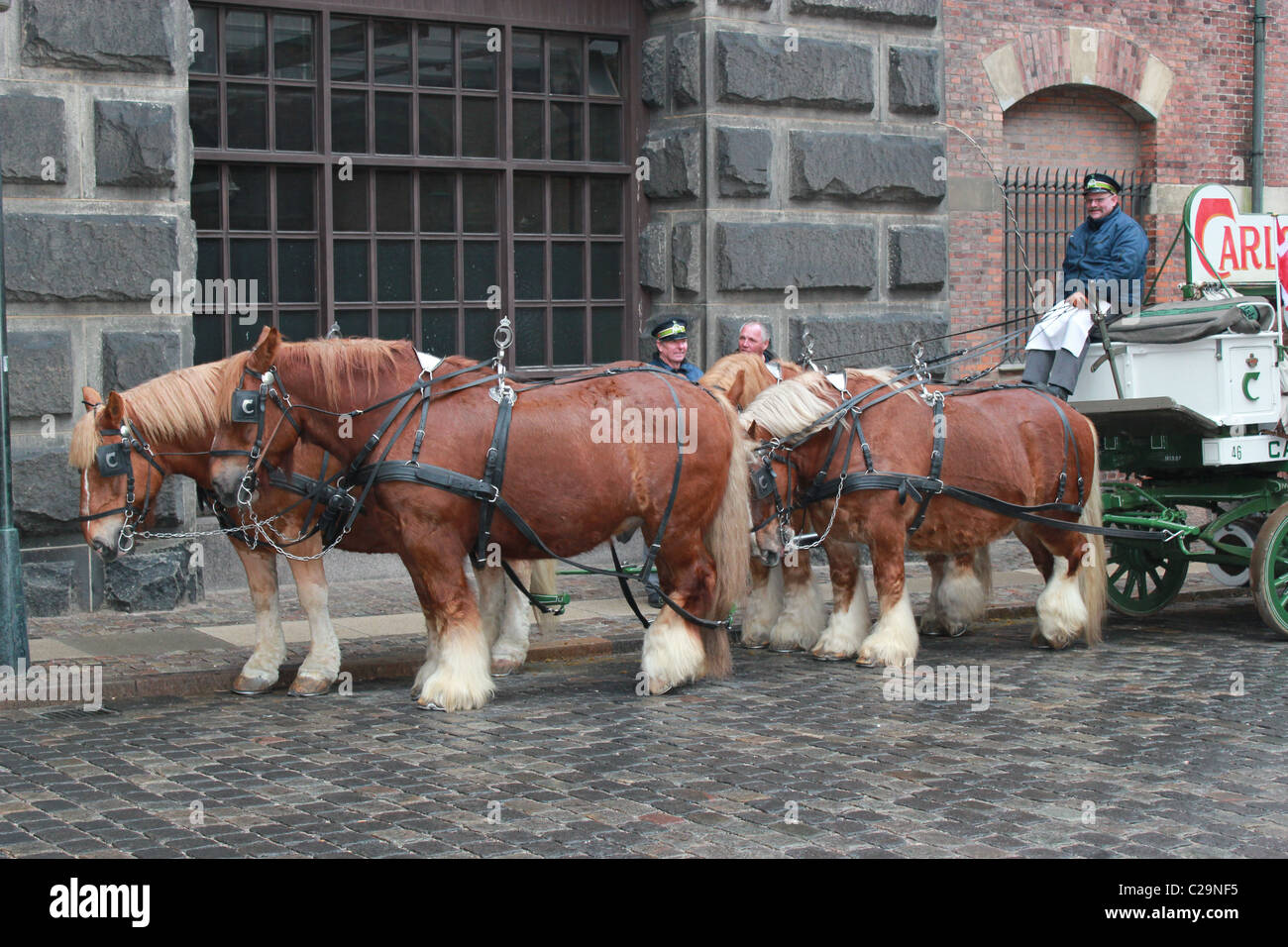 Dray beer hi-res stock photography and images - Alamy