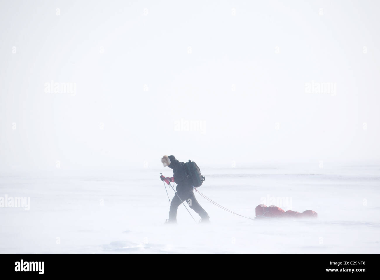 A single person on a winter expedition in a snow storm Stock Photo - Alamy
