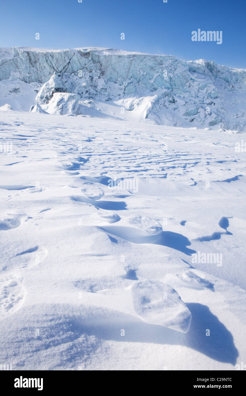 Footprints from a polar bear in the snow at Svalbard, Norway Stock ...