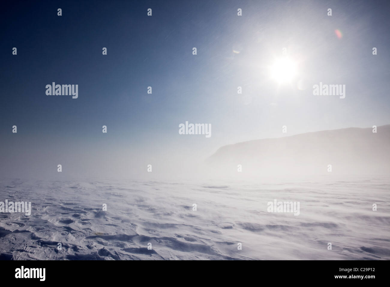 Desolate Winter Landscape