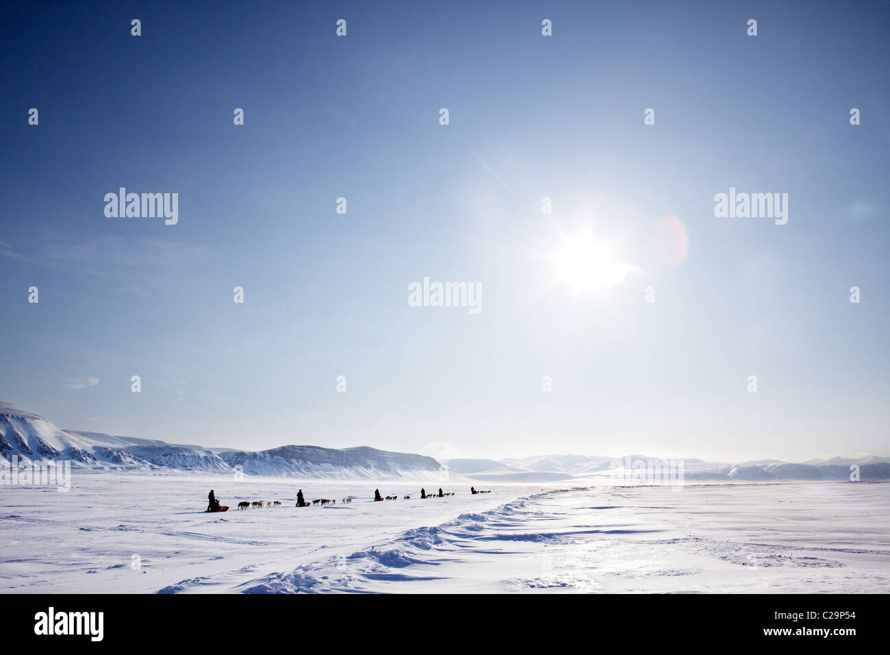 Number sled hi-res stock photography and images - Alamy