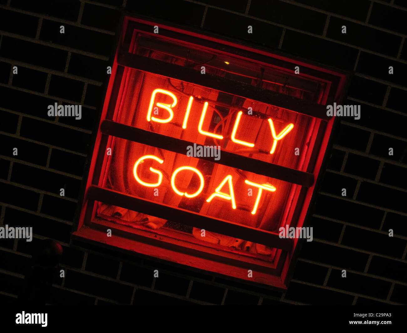 Billy goat tavern goat hi-res stock photography and images - Alamy
