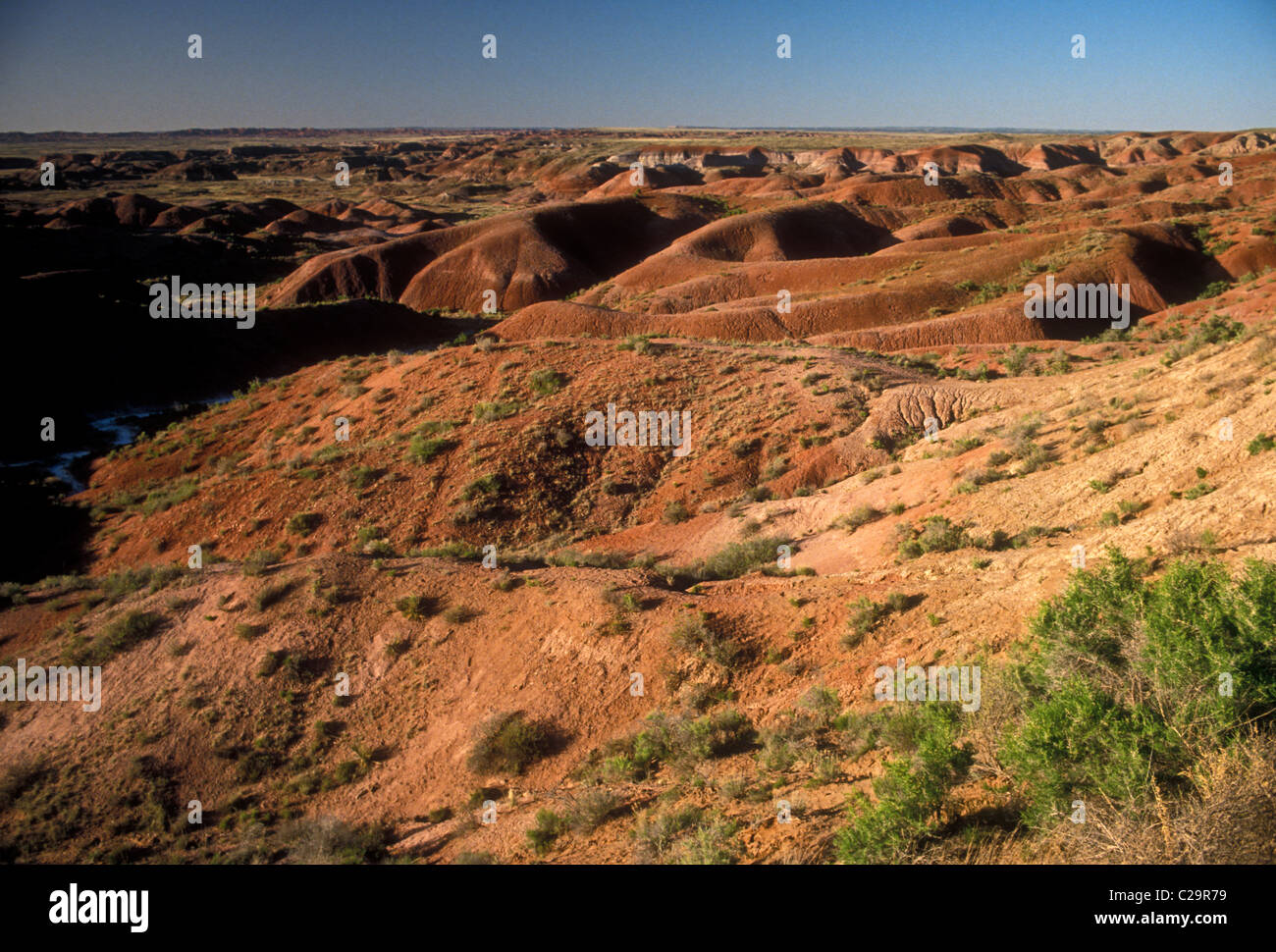 Painted Desert, badlands, Petrified Forest National Park, near Holbrook ...