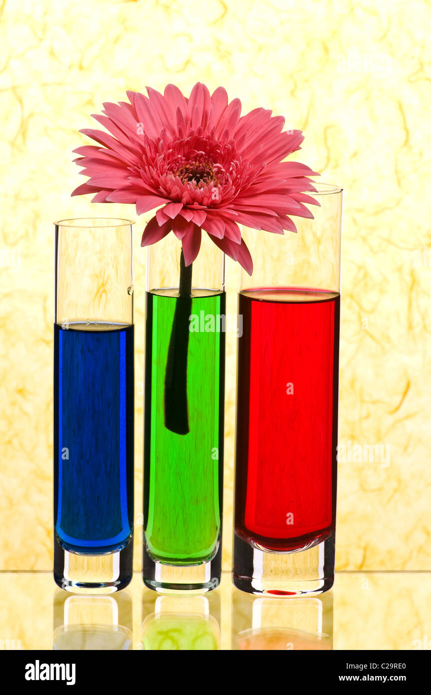 Vases with multi-coloured water on yellow background Stock Photo - Alamy