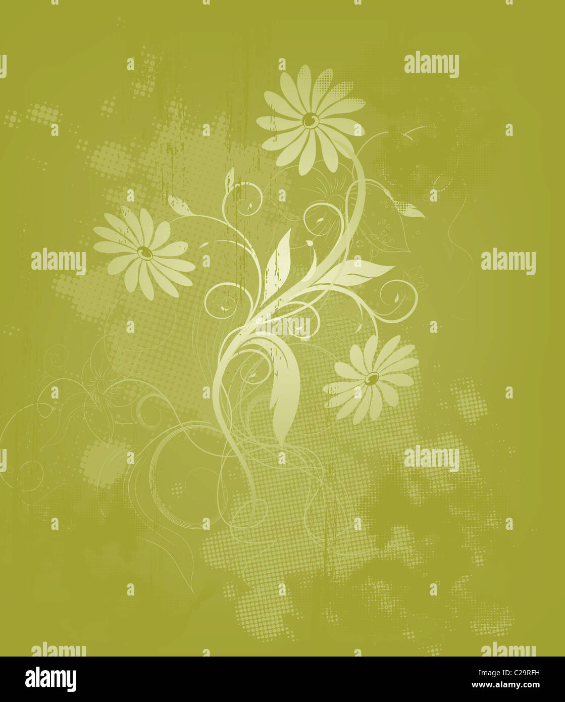 Floral green beauty summer design background Stock Photo - Alamy
