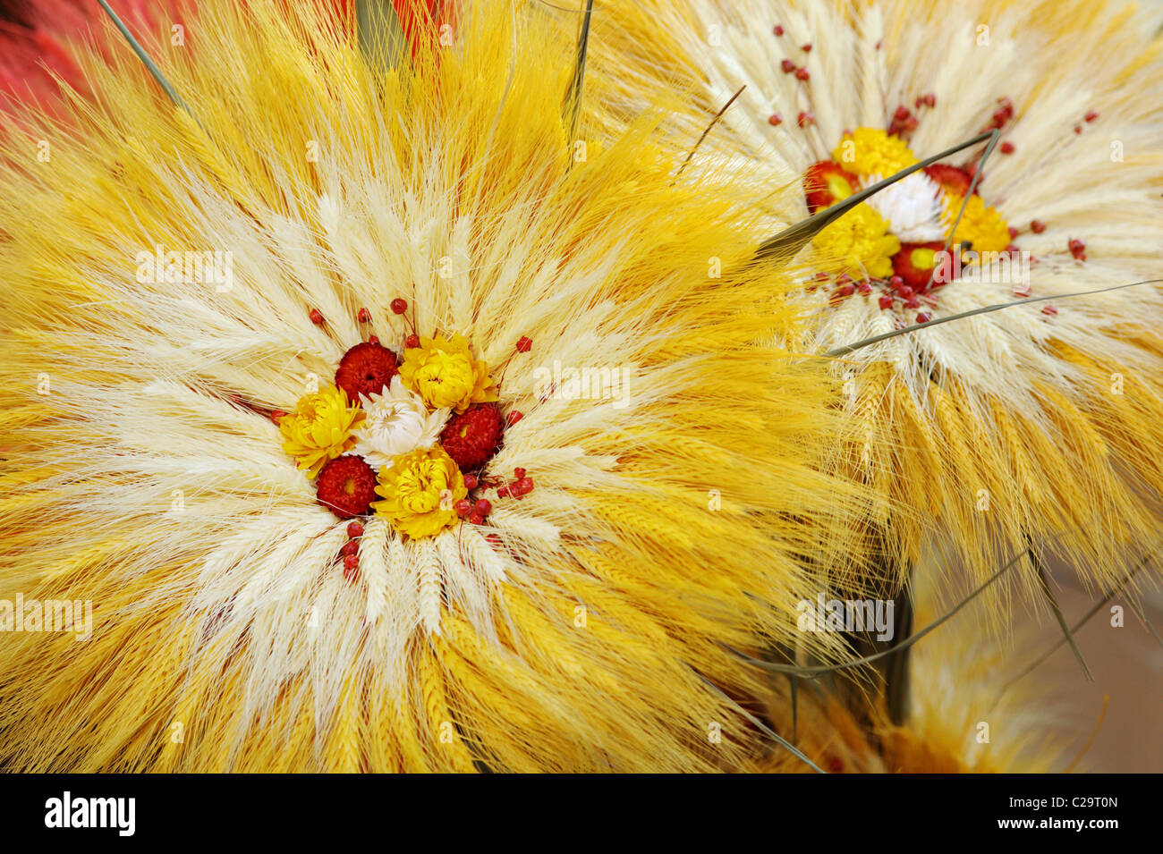 Rye ears bunch hi-res stock photography and images - Alamy