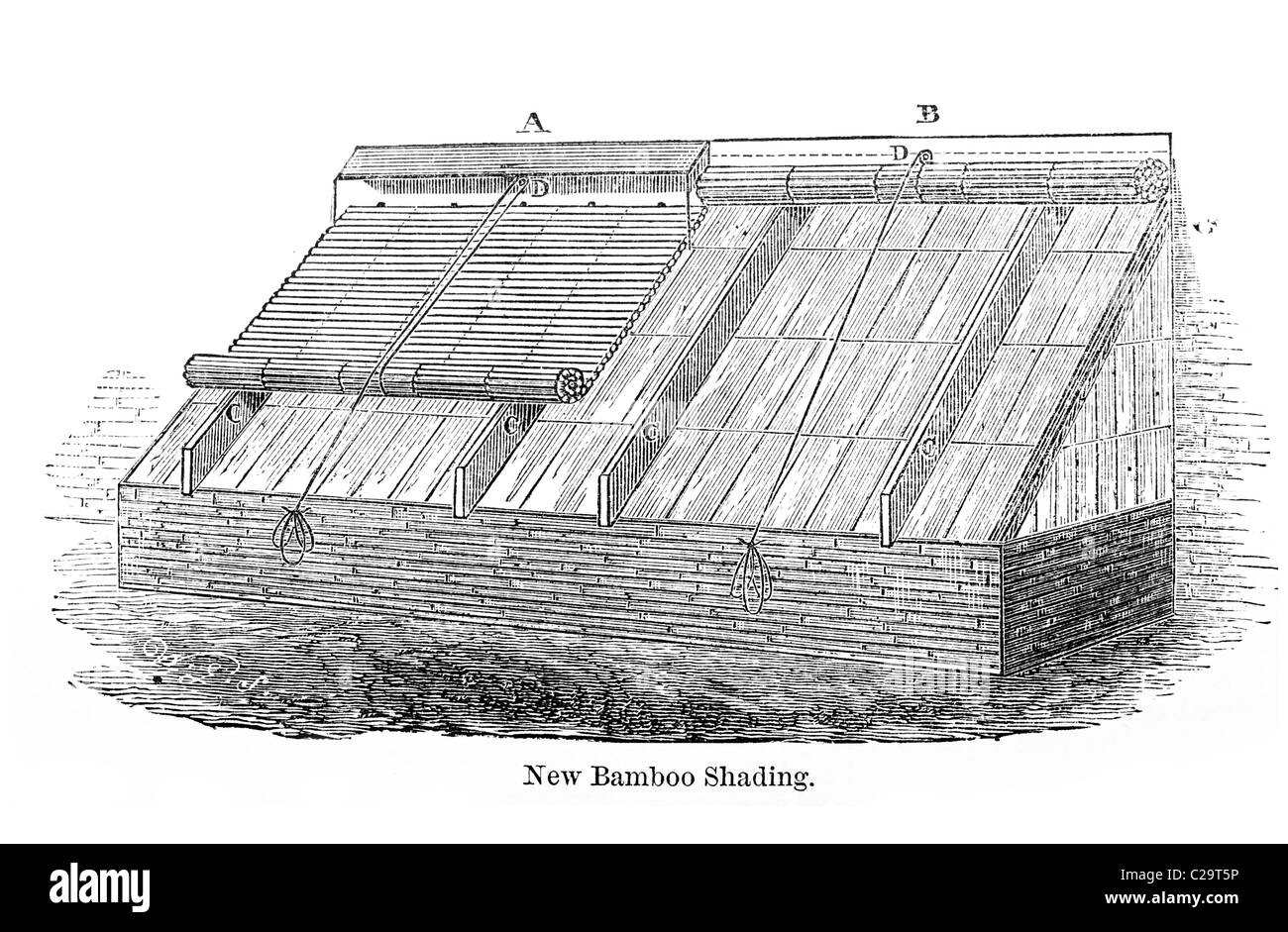 Lean to greenhouse hi-res stock photography and images - Alamy