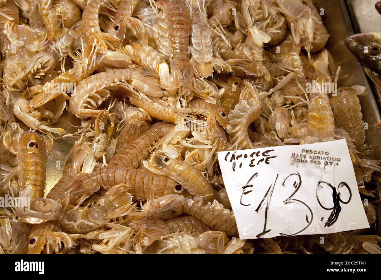 prawns / shrimps for sale in the fish market, Venice, Italy Stock Photo ...