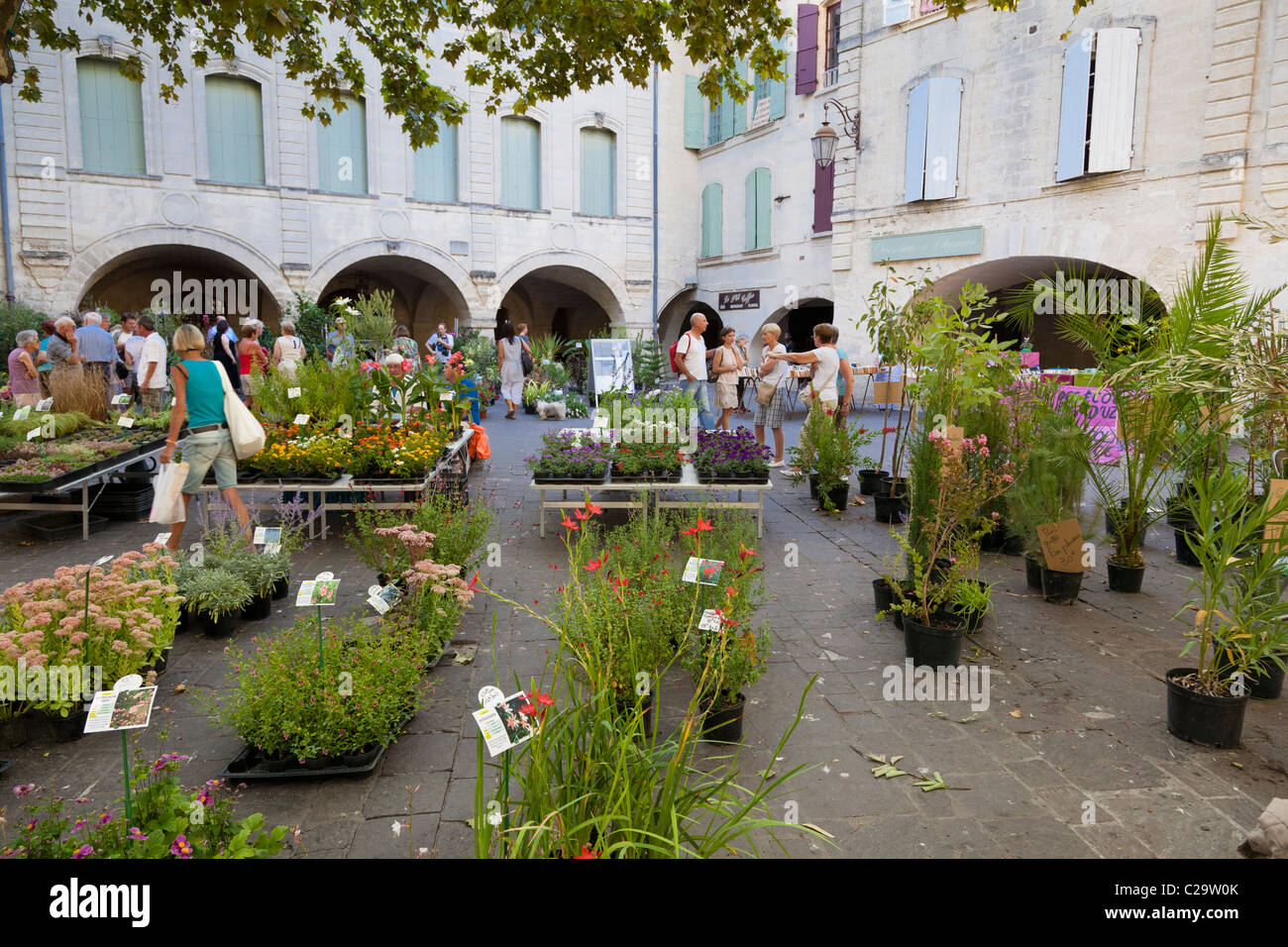 Open air plant and flower market in Uzes, Gard, Languedoc-Roussillon ...