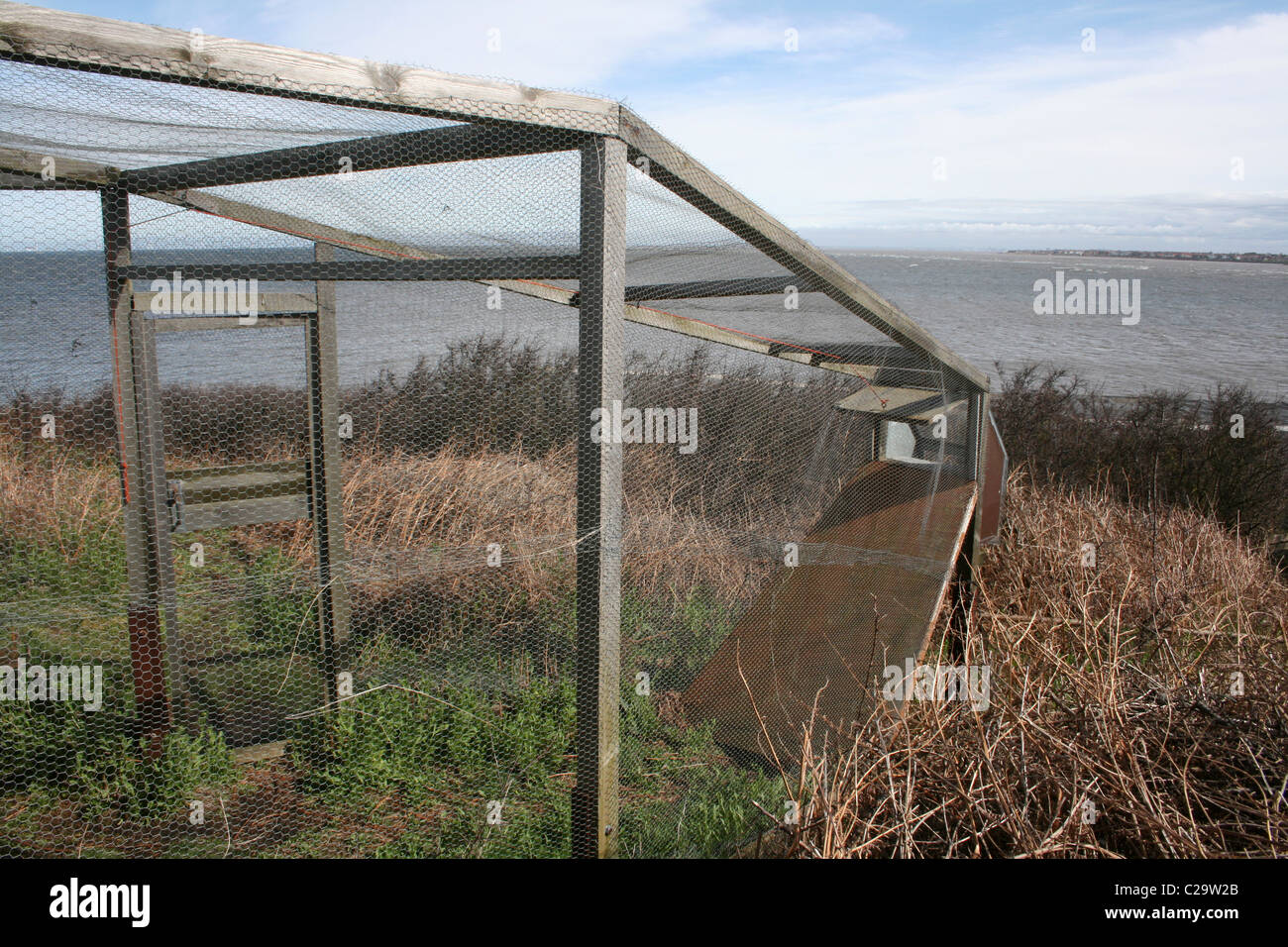 Heligoland Trap To Catch Birds For Ringing On Hilbre Island, Wirral ...
