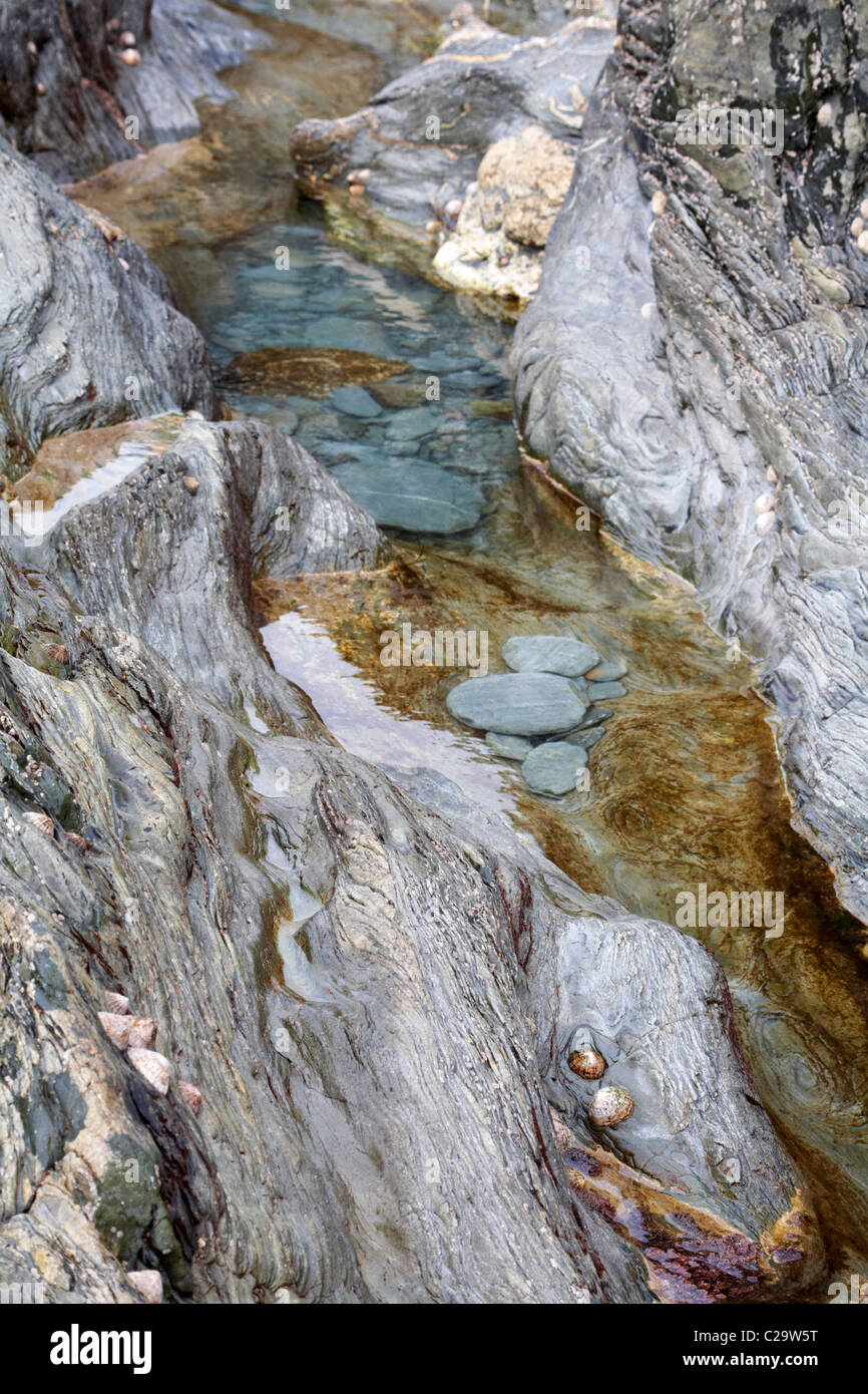 Exploring a tide pool hi-res stock photography and images - Alamy