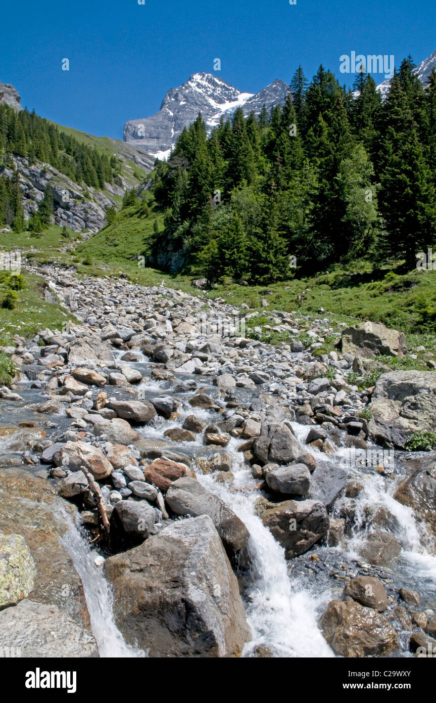 Bach waters hi-res stock photography and images - Alamy