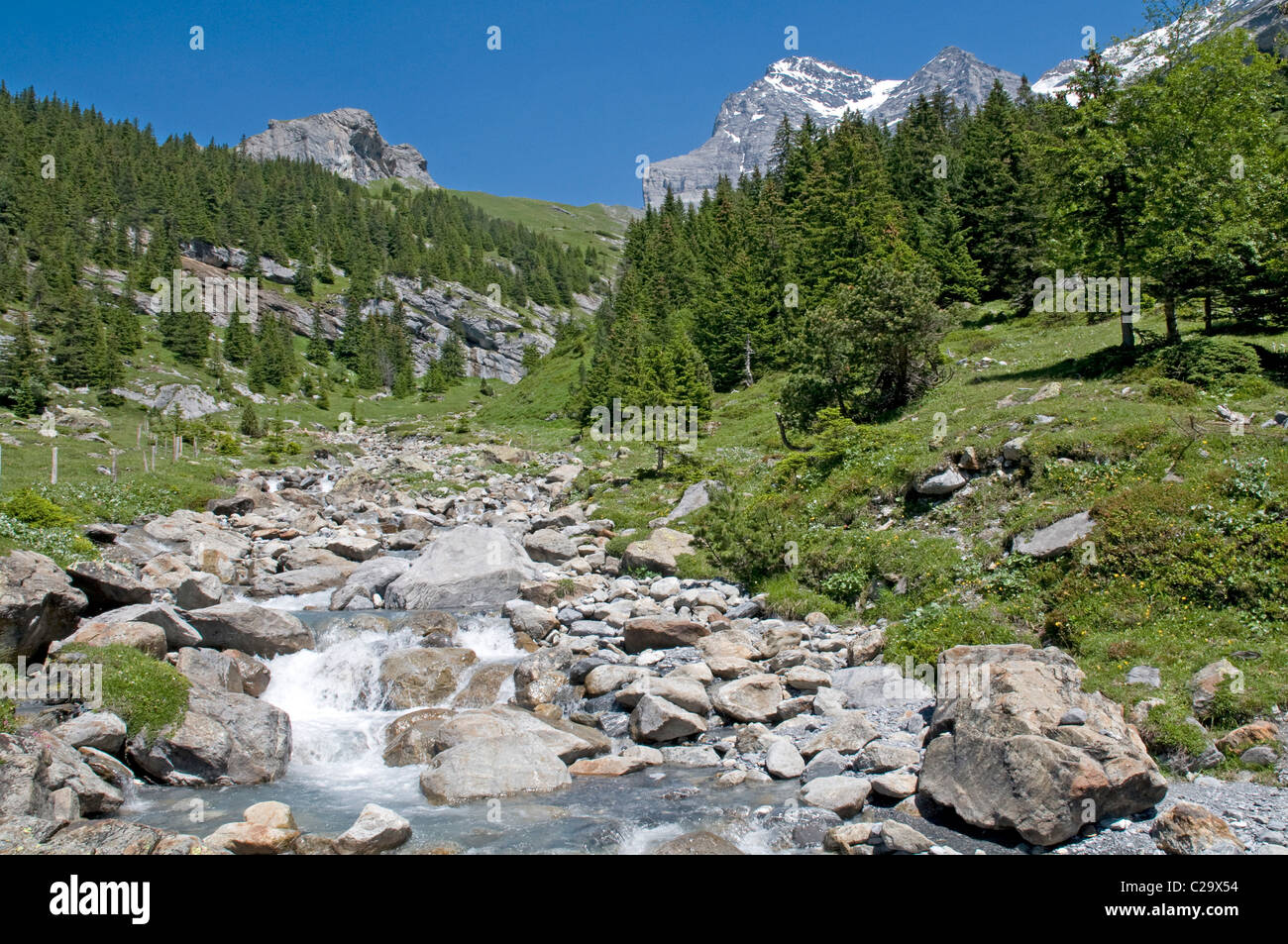 In the Trummel Bach valley, looking east upstream towards the towering ...