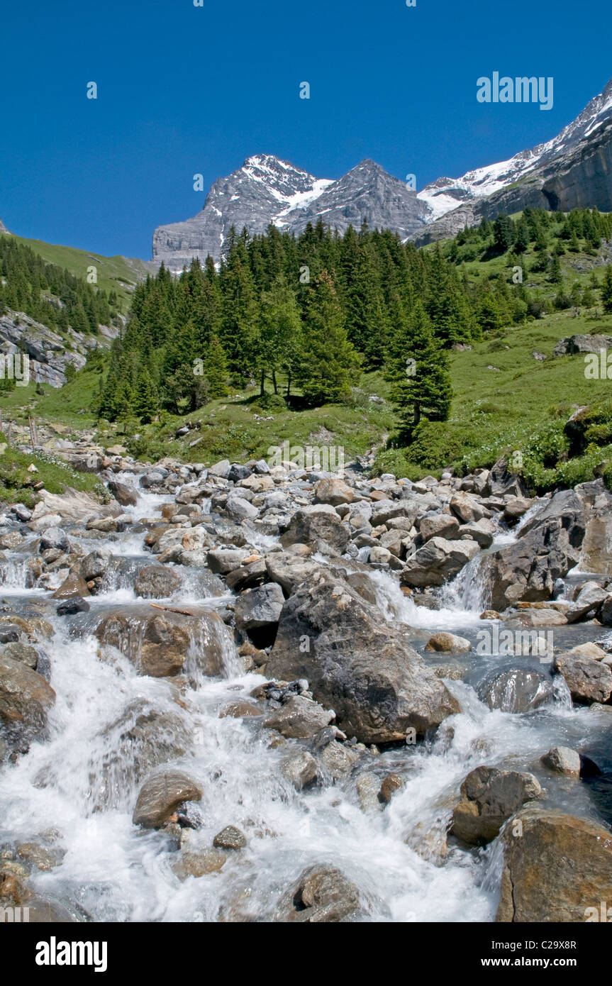 In the Trummel Bach valley, looking east upstream towards the towering ...