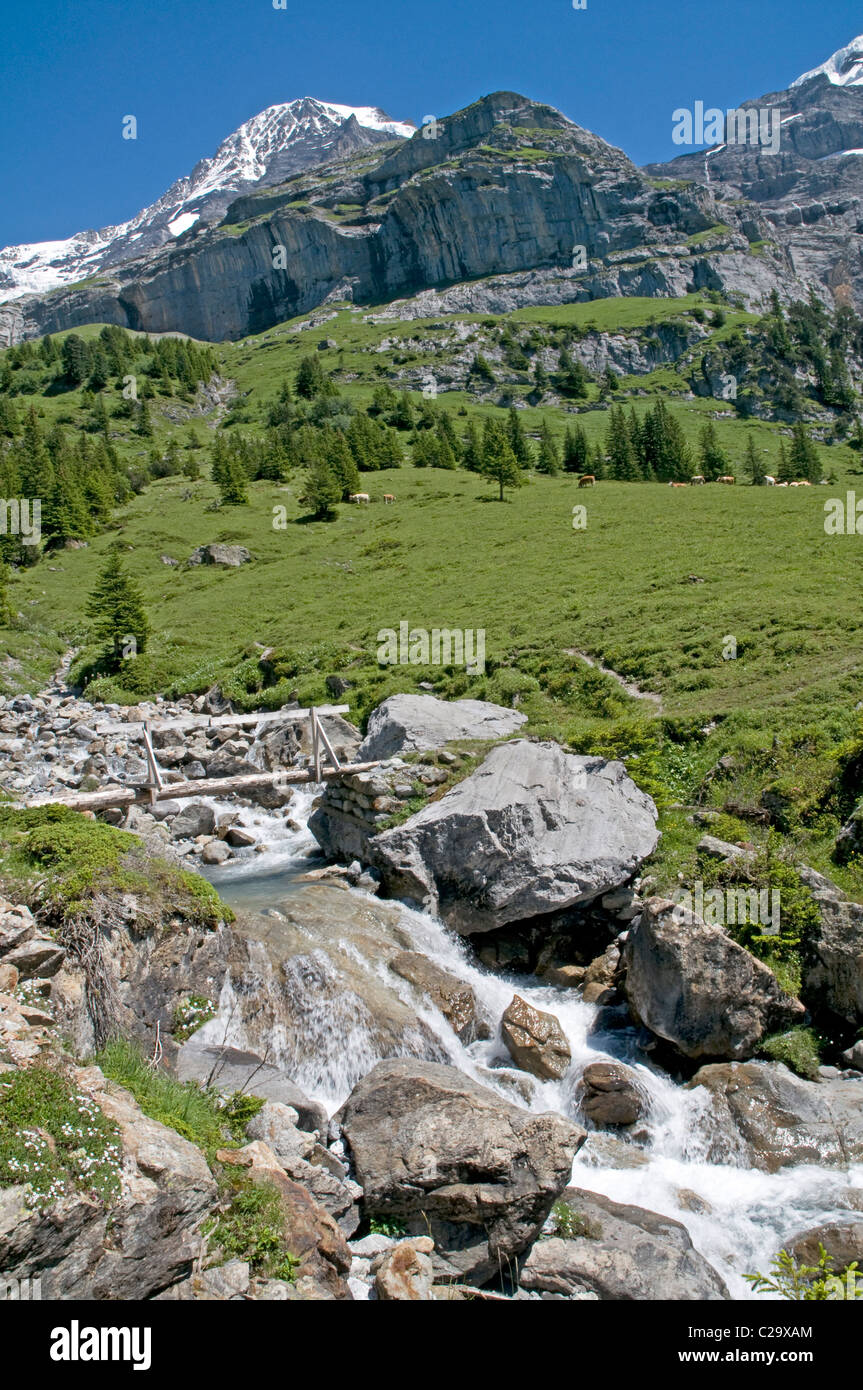 In the Trummel Bach valley, looking east upstream towards the towering ...
