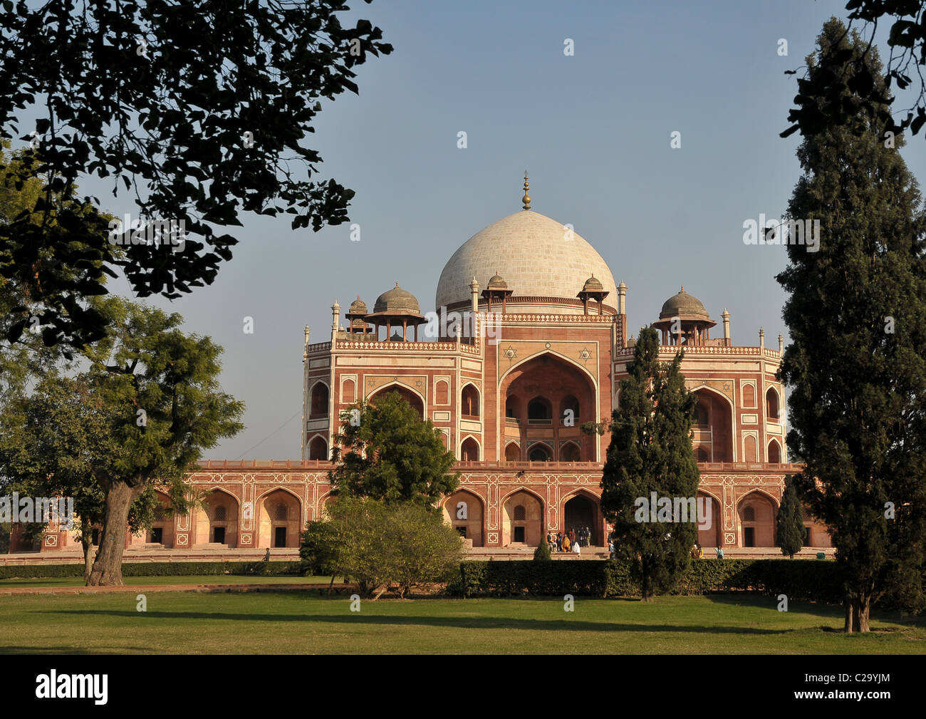 Spotted dear hi-res stock photography and images - Alamy