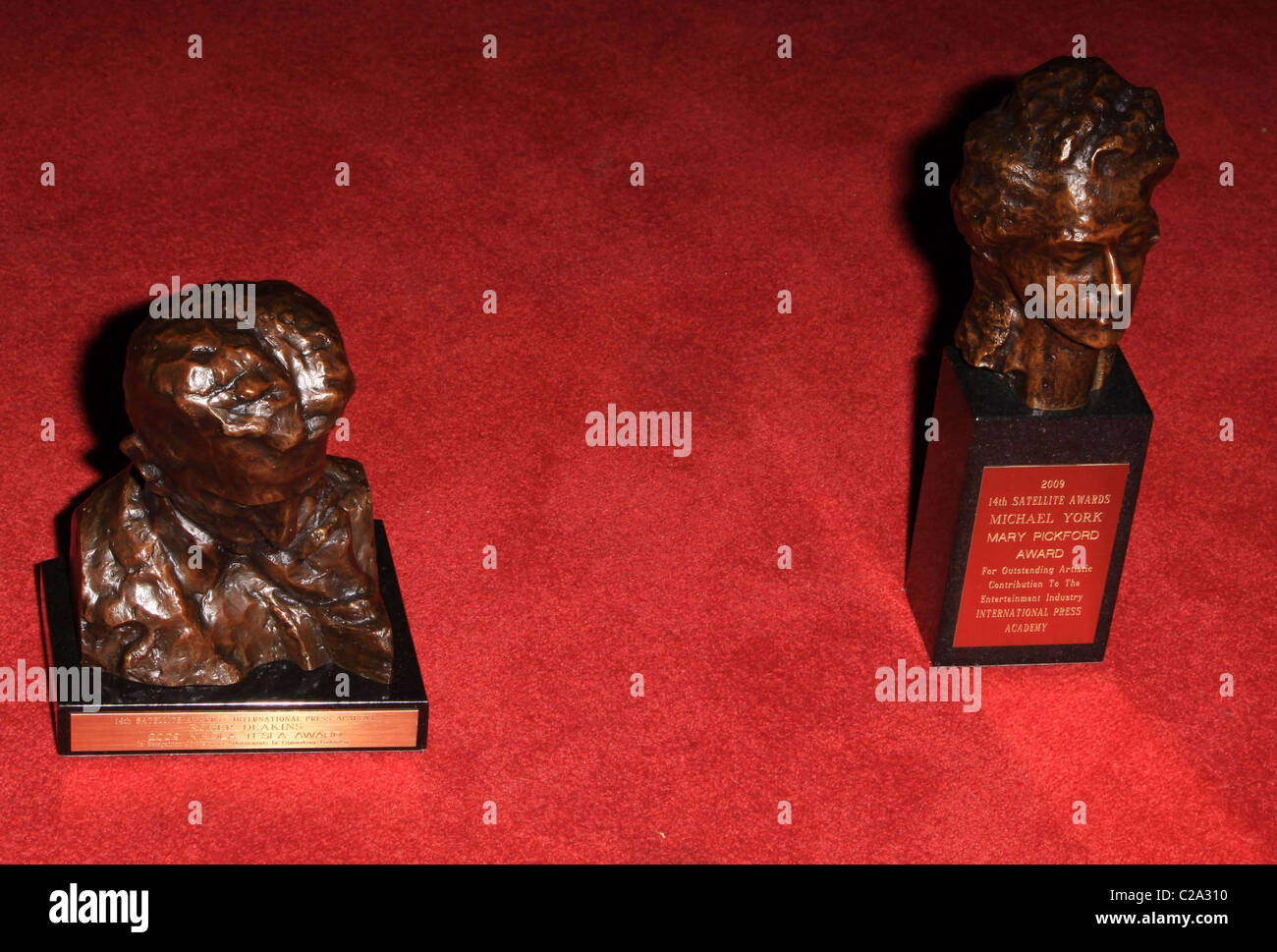 Atmosphere 14th Annual Satellite Awards held At InterContinental Hotel ...