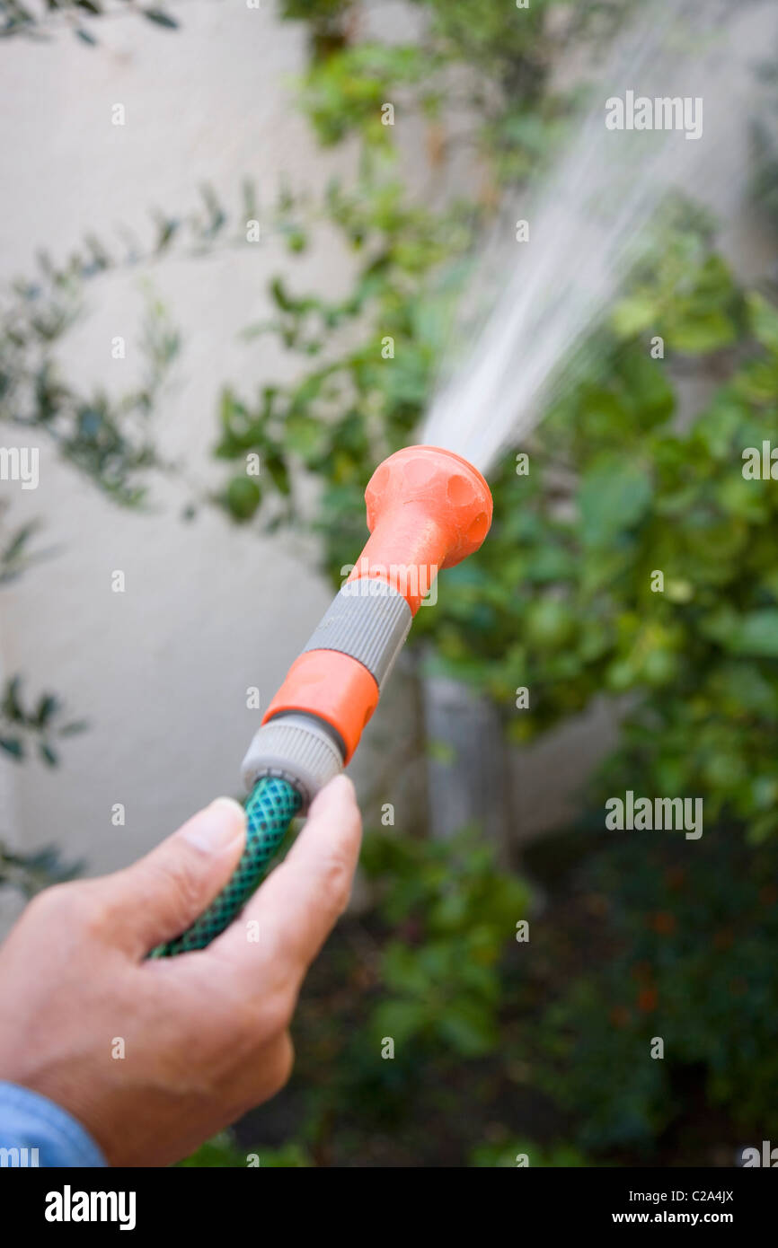 Man watering plants with hosepipe garden hi-res stock photography and ...