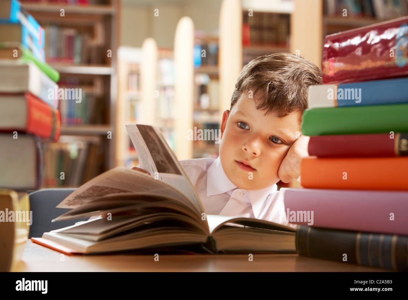 Close-up of cute boy reading book while preparing for lesson in library ...