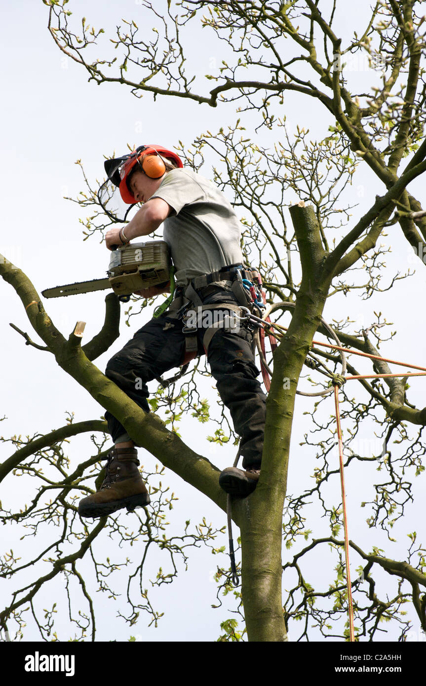 Danger for ecological balance hi-res stock photography and images - Alamy