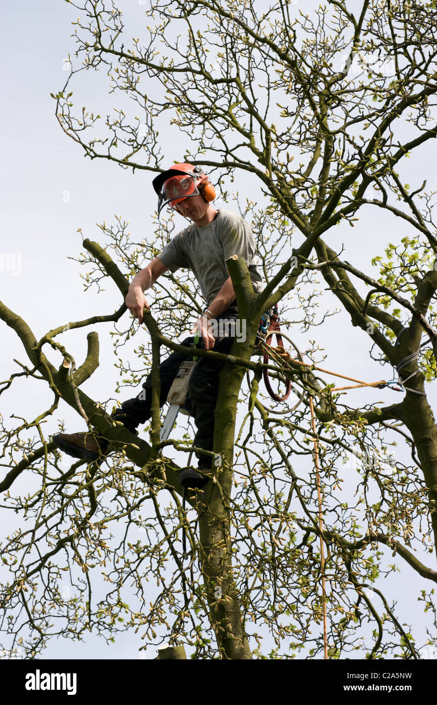 Danger for ecological balance hi-res stock photography and images - Alamy