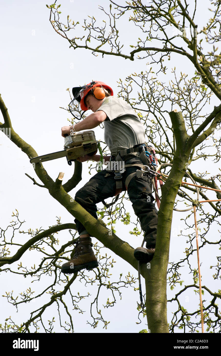 Danger falling branches hi-res stock photography and images - Alamy
