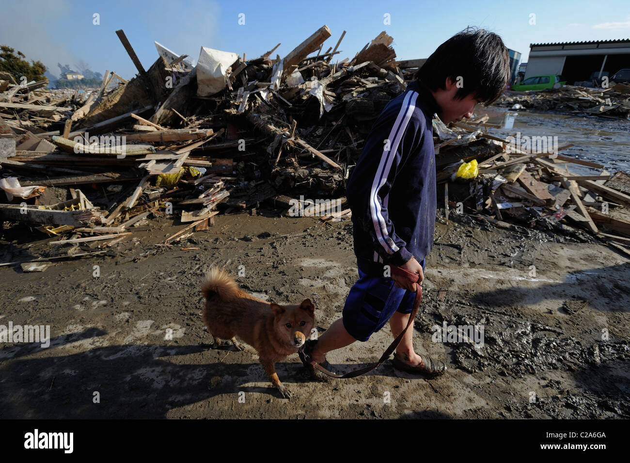 A boy wandering with his dog in the disaster area after the great ...