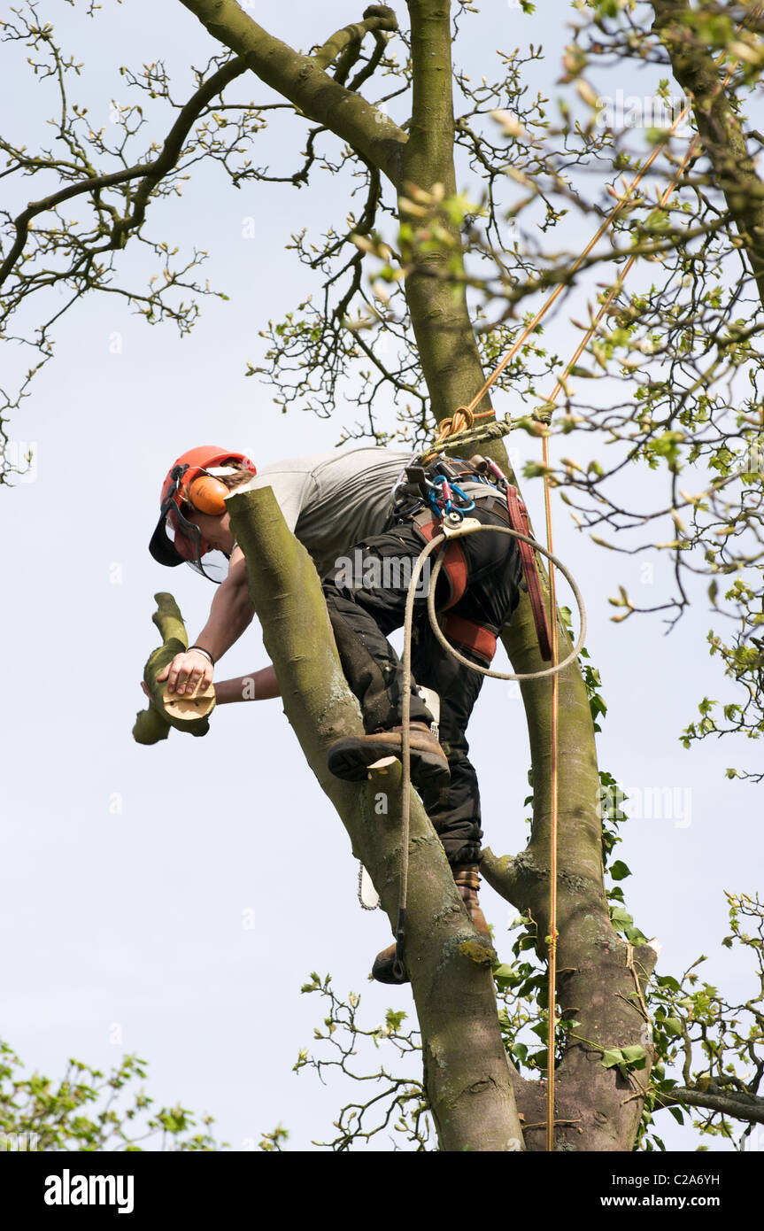Drop log hi-res stock photography and images - Alamy
