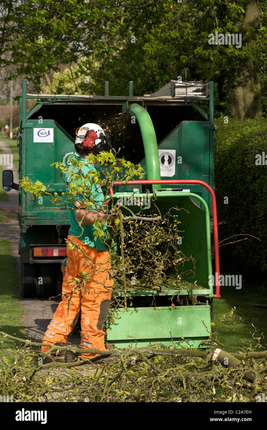 Chipped branch wood hi-res stock photography and images - Alamy
