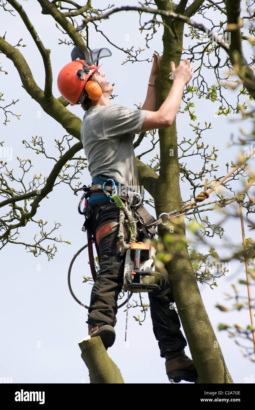 Precarious labor hi-res stock photography and images - Alamy
