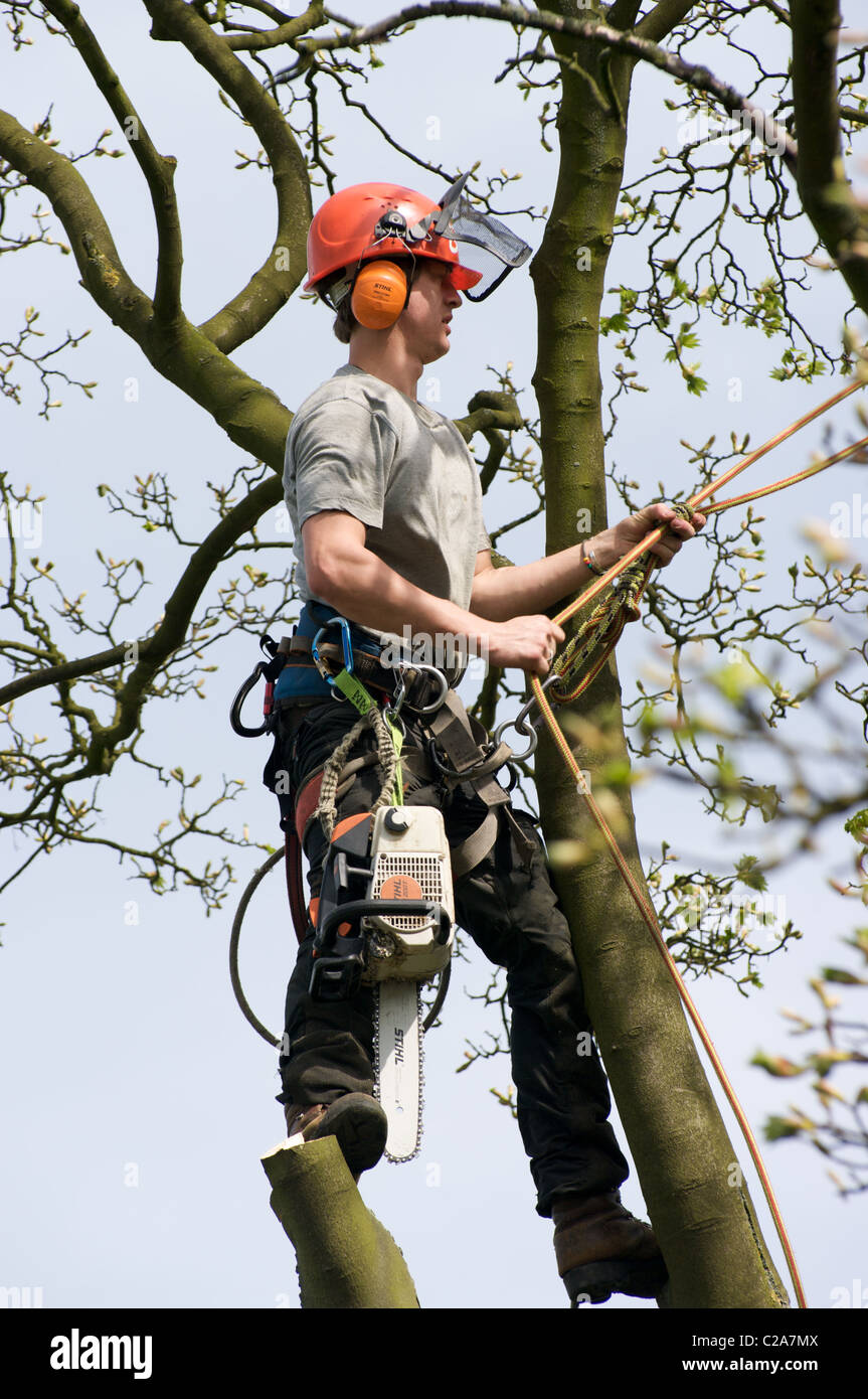 High ropes hard hat hi-res stock photography and images - Alamy