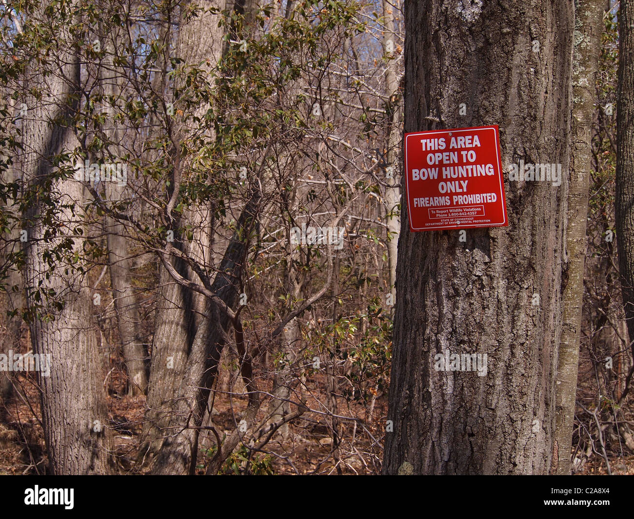 Connecticut state forests hi-res stock photography and images - Alamy