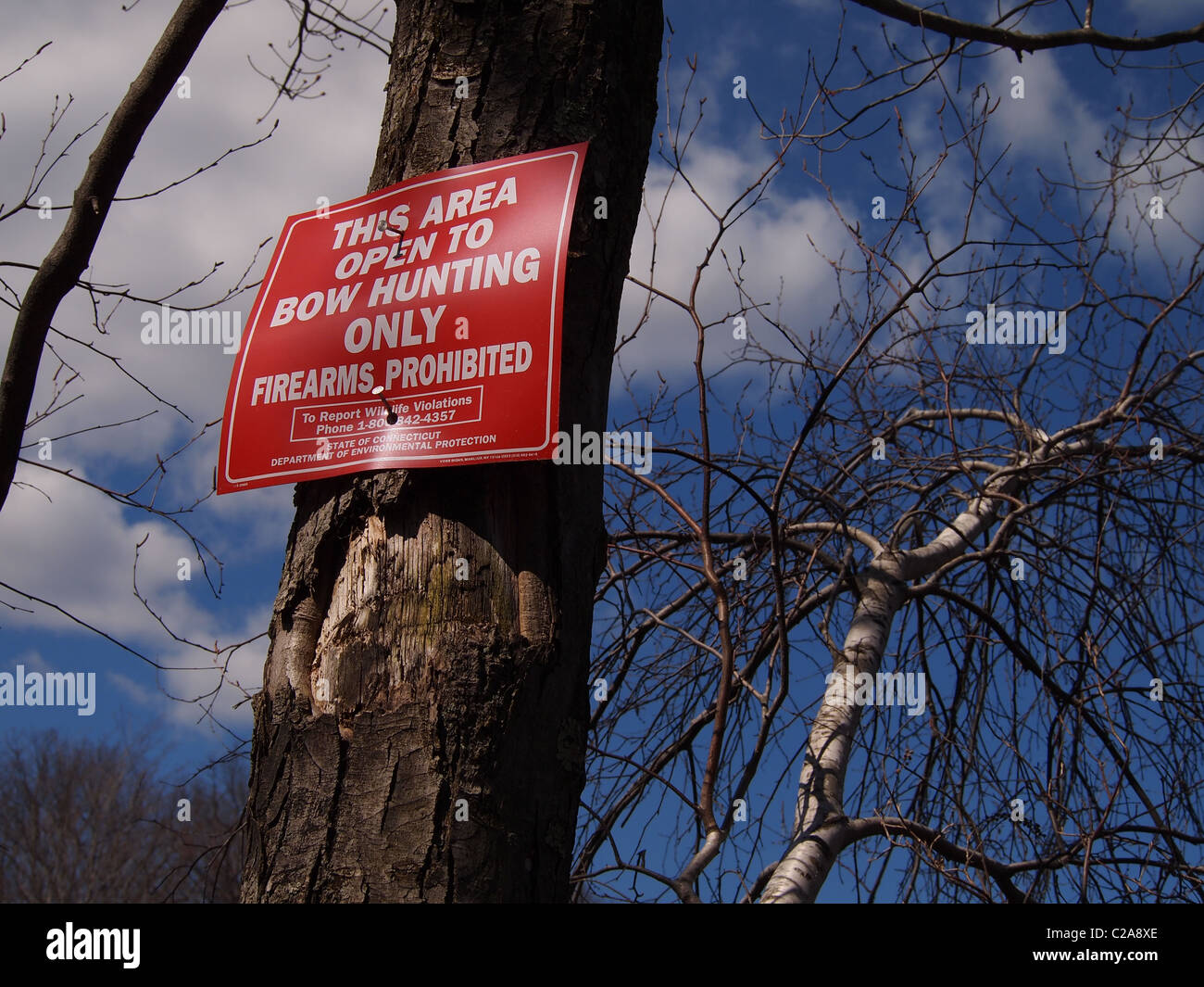 Bow hunting sign nailed to a tree at a state conservation park, USA ...