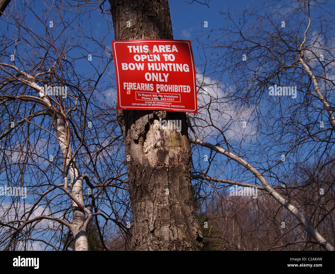 Connecticut state forests hi-res stock photography and images - Alamy