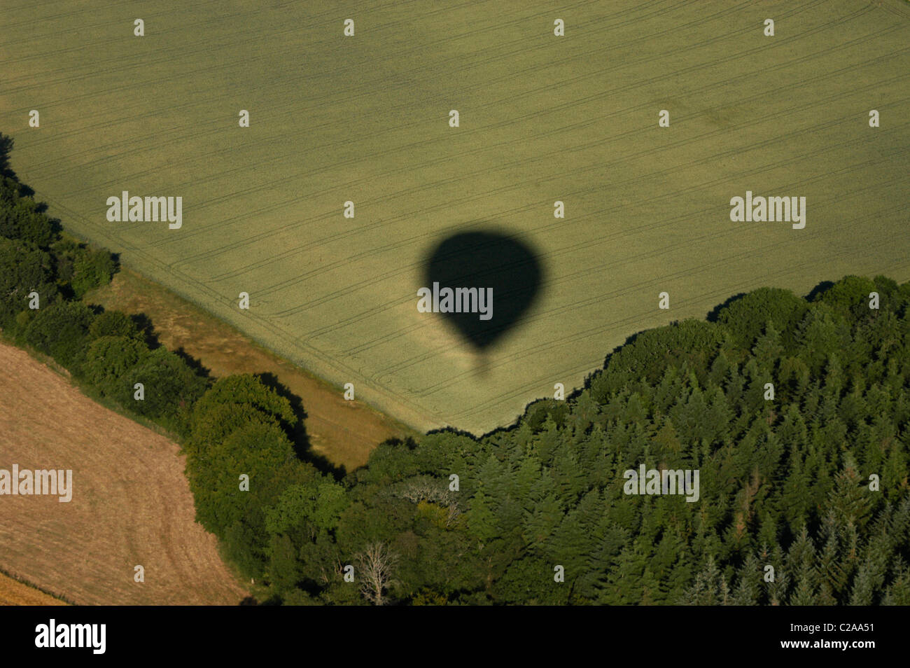 Photograph taken from a balloon of the balloon's shadow on the ground ...