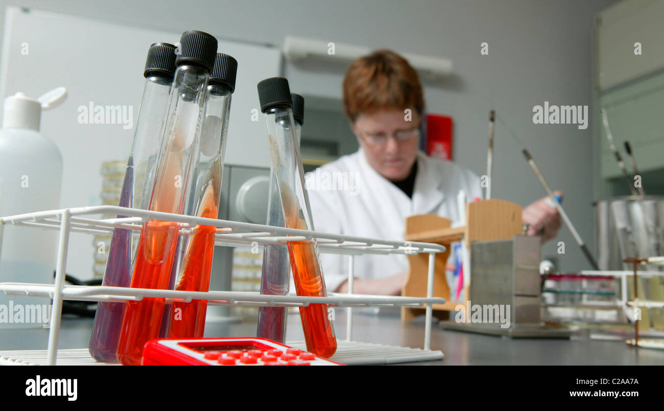 Scientist in fish laboratories doing research, Iceland Stock Photo - Alamy