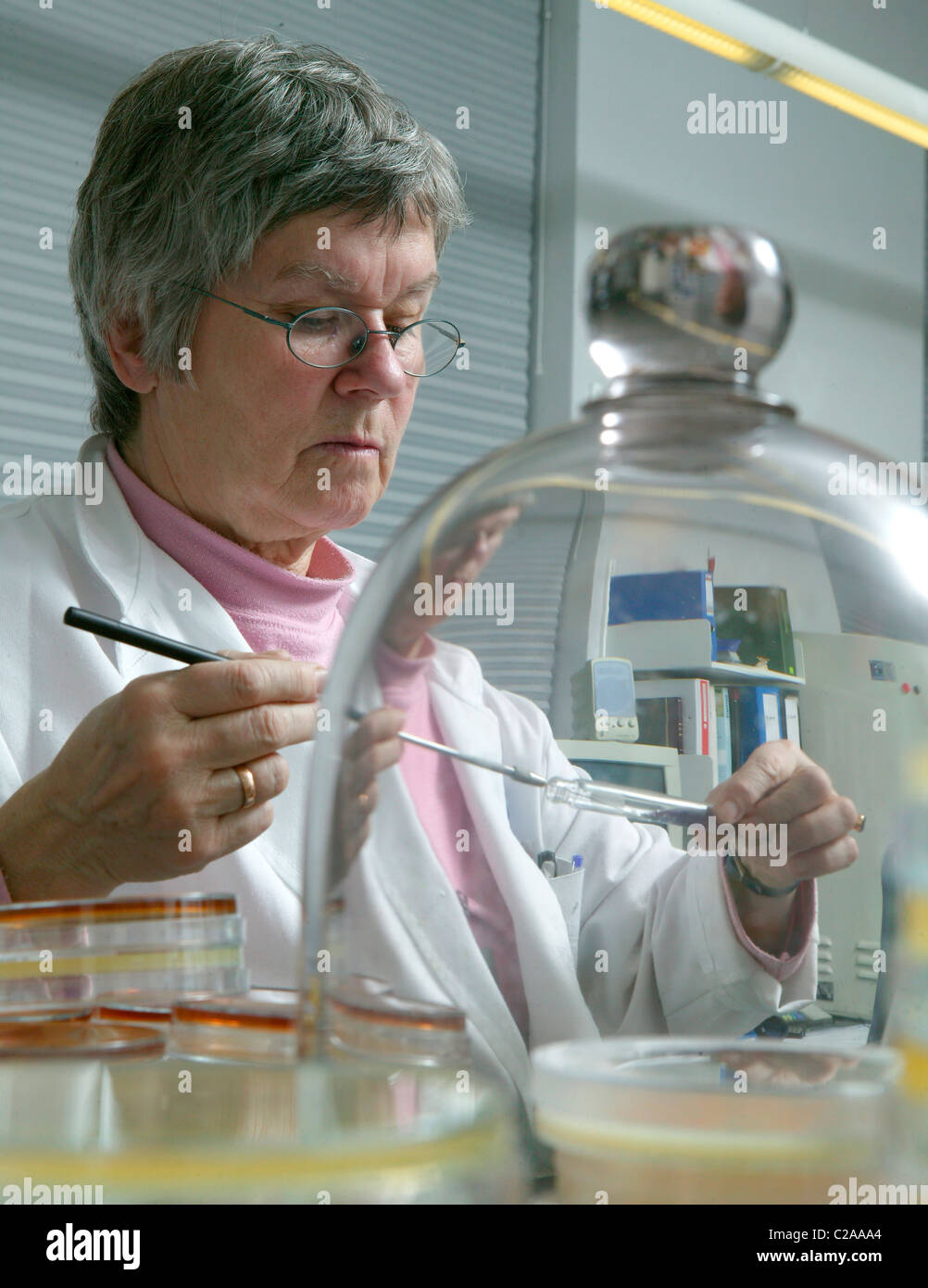 Researcher working fish laboratory hi-res stock photography and images ...