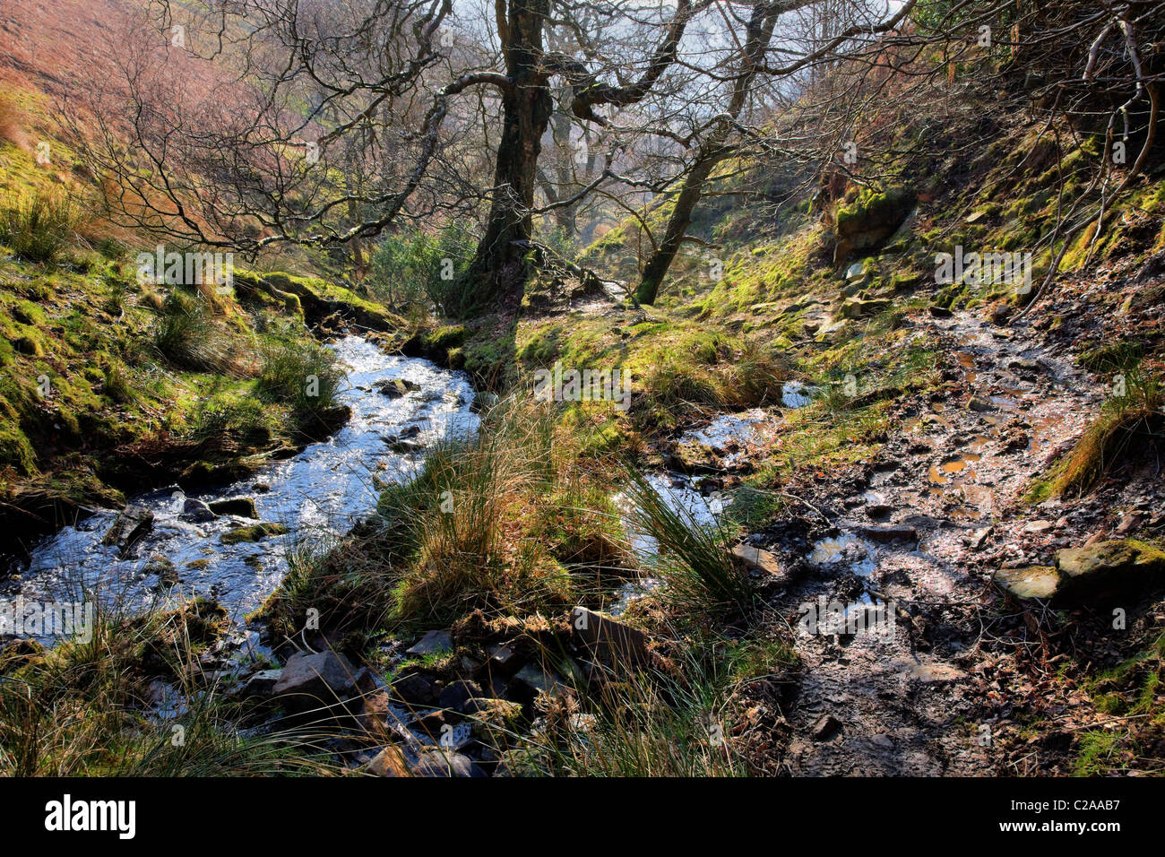 Mountain stream in Lady Clough flowing down from Kinder Scout to the ...