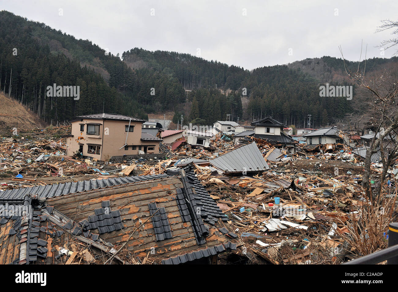 Scenes of total destruction after a 9.0 Mw earthquake triggered a ...