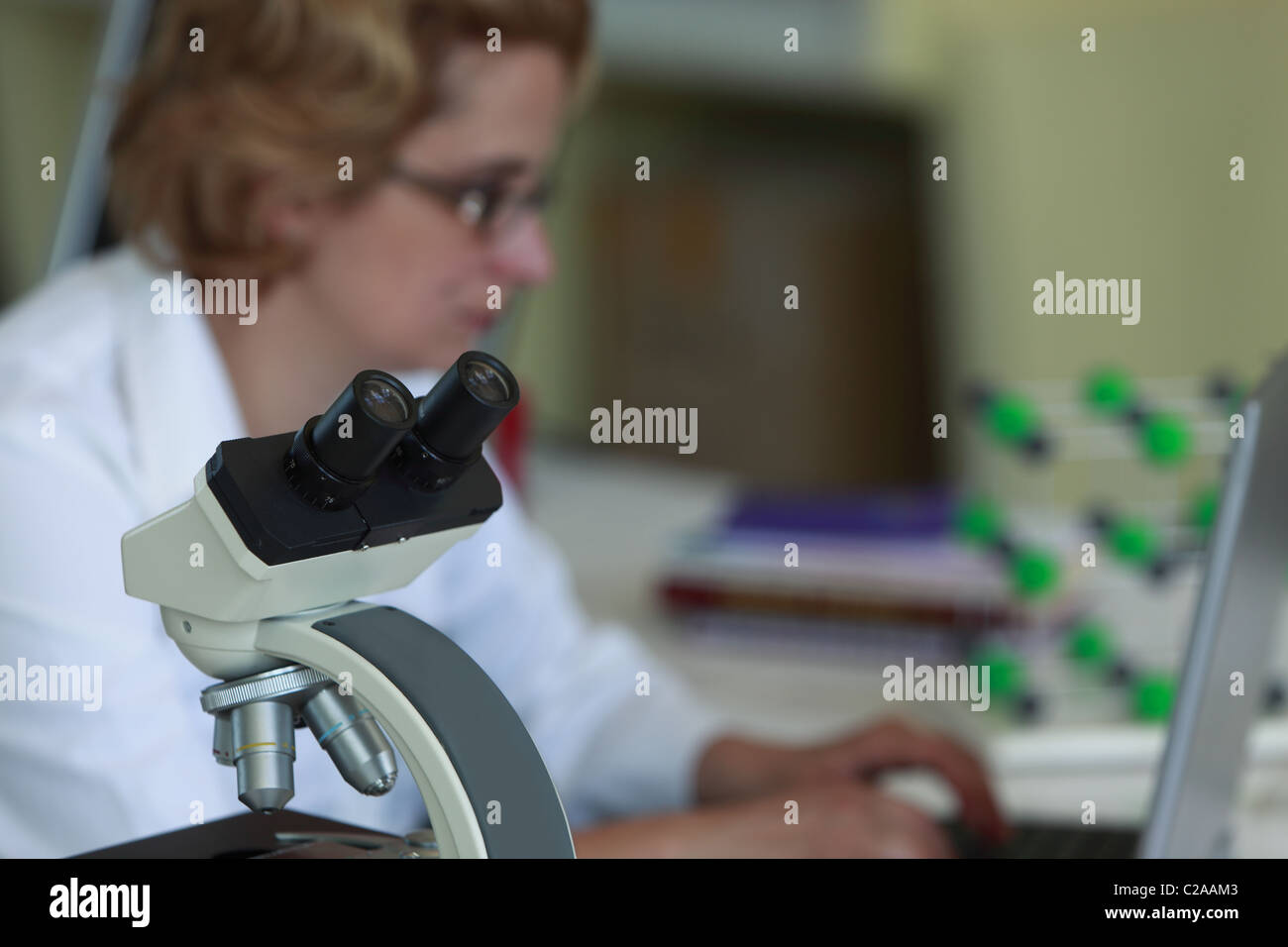 Image of a researcher working on her workplace in a laboratory ...