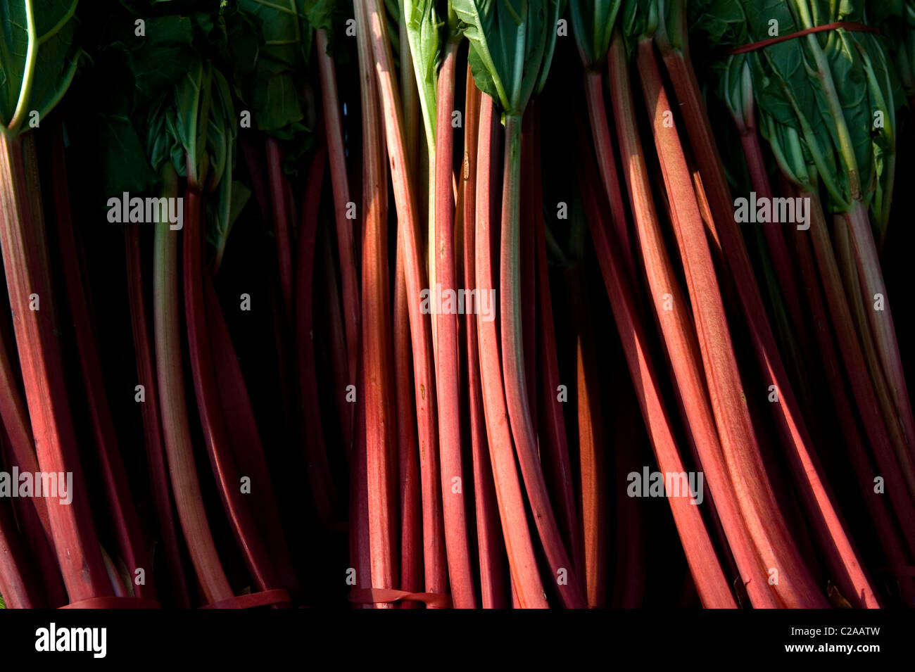 Rhubarb bunch hi-res stock photography and images - Alamy