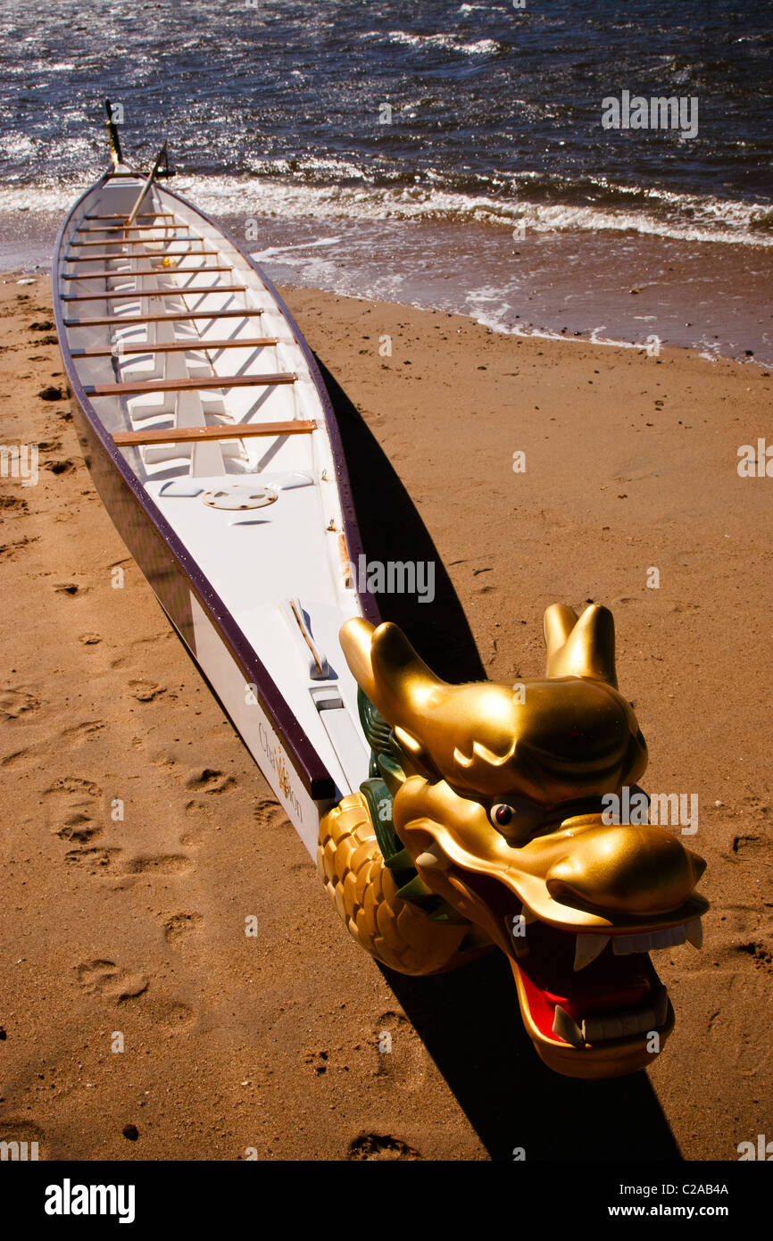 Dragon boat racing at Redcliffe Stock Photo - Alamy