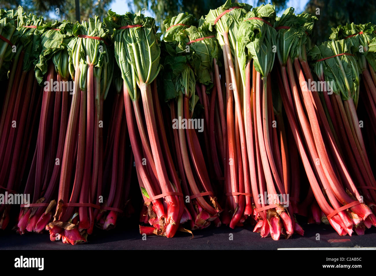 Rhubarb display hi-res stock photography and images - Alamy