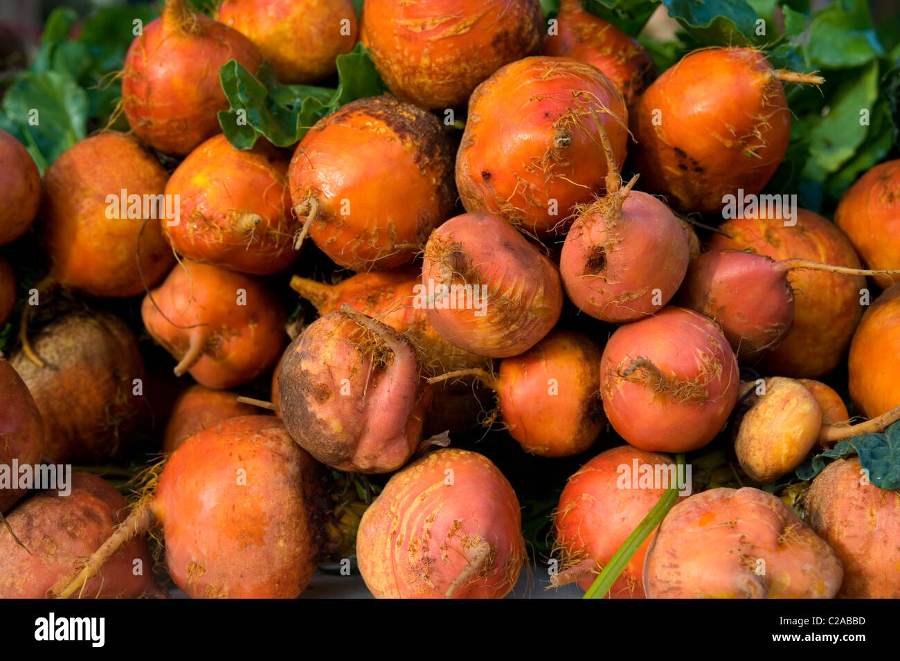 golden yellow Beetroot Stock Photo - Alamy