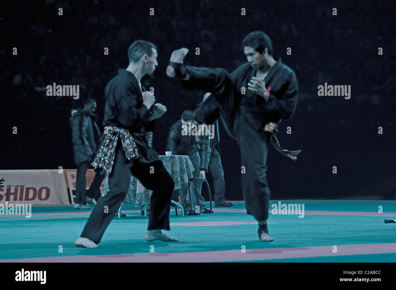 Pencak Silat par l'Académie Franck Ropers at Festival des Arts Martiaux ...