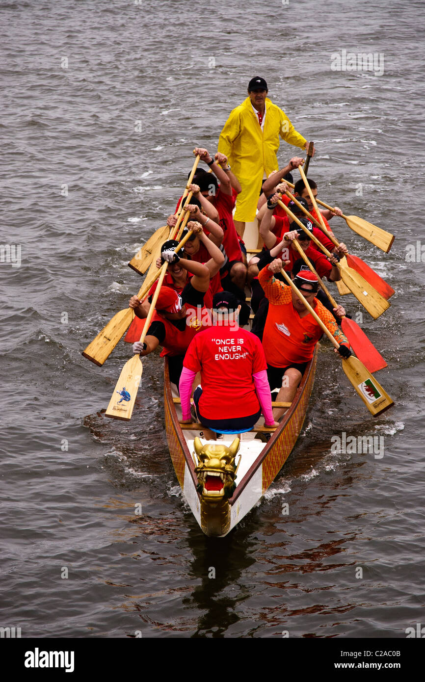 Dragon boat racing at Redcliffe Stock Photo - Alamy