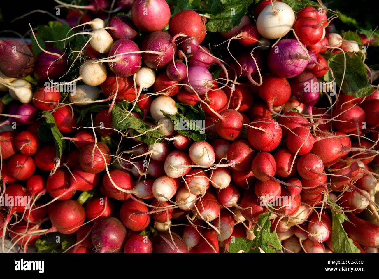 Mixed vegetable varieties hi-res stock photography and images - Alamy