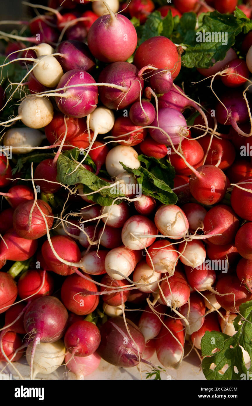 Mixed vegetable varieties hi-res stock photography and images - Alamy