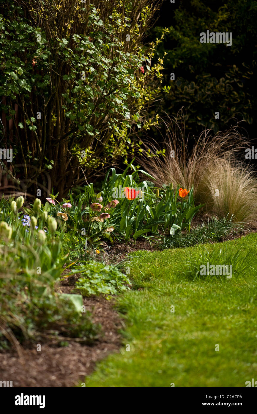 Vertical border bright spring hi-res stock photography and images - Alamy