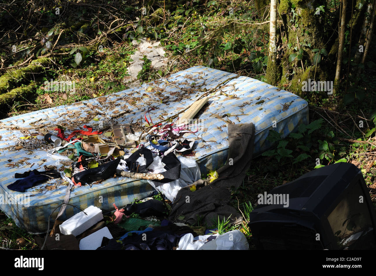 Fly Tipping in woodland Carmarthenshire Wales Cymru UK GB Stock Photo ...